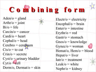 Basic word structure | PPT