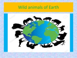 Basic zoology Part I | PPT