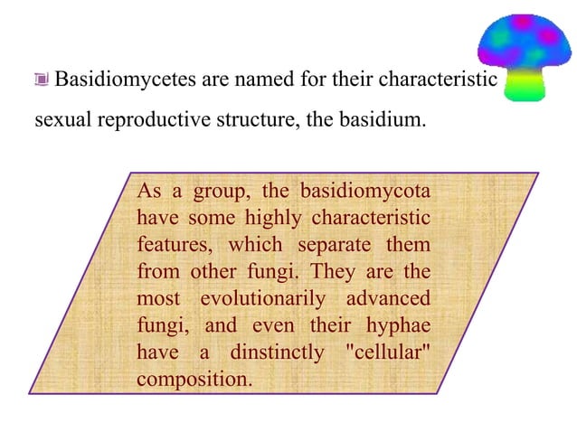 Basidiomycetes | PPT