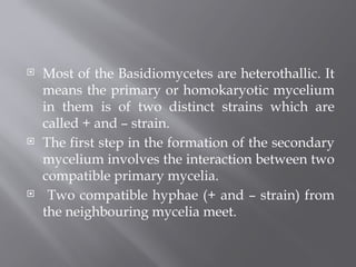 Basidiomycetes ppts m.pptx