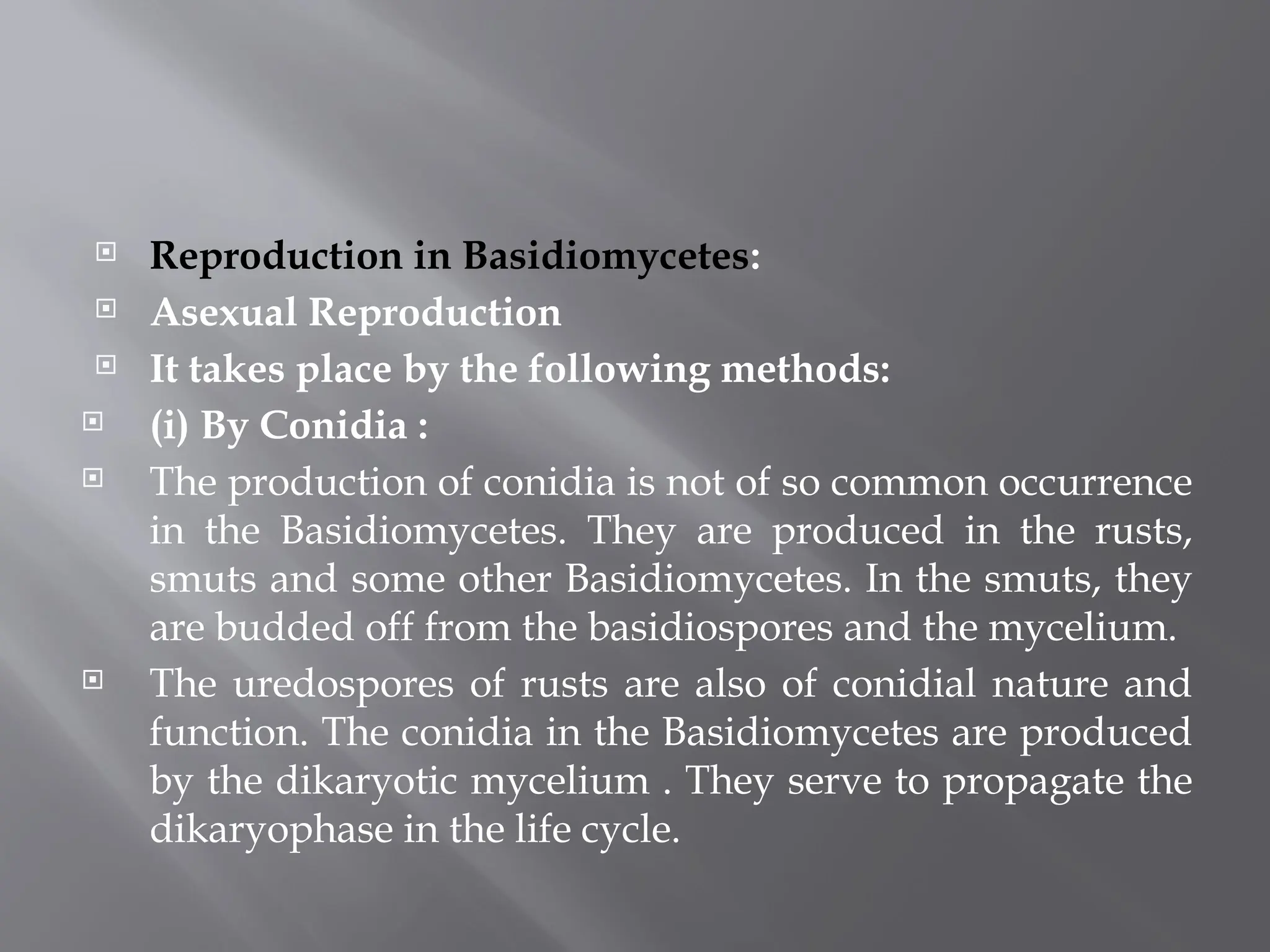 Basidiomycetes.pptx m | PPTX