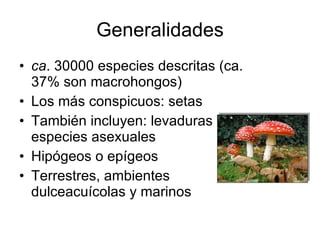 Basidiomycota | PPT