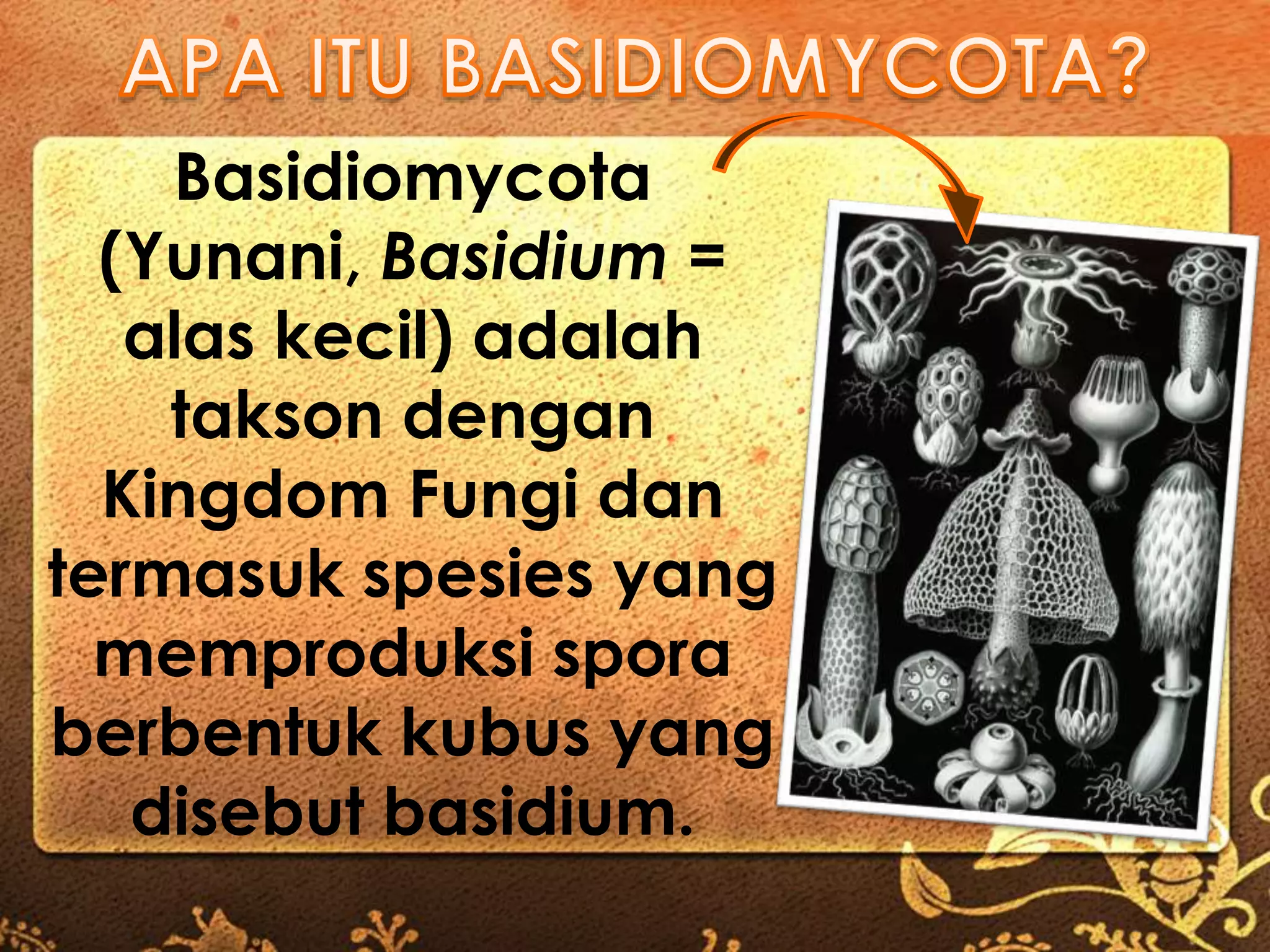 Basidiomycota Fungi - Kelas X | PPTX