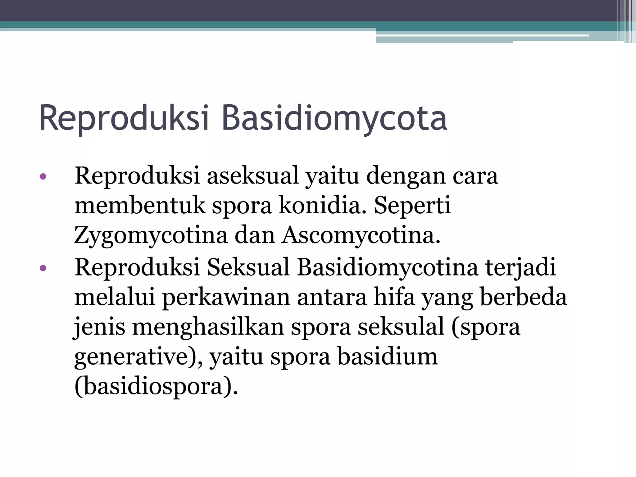 Basidiomycota | PPTX