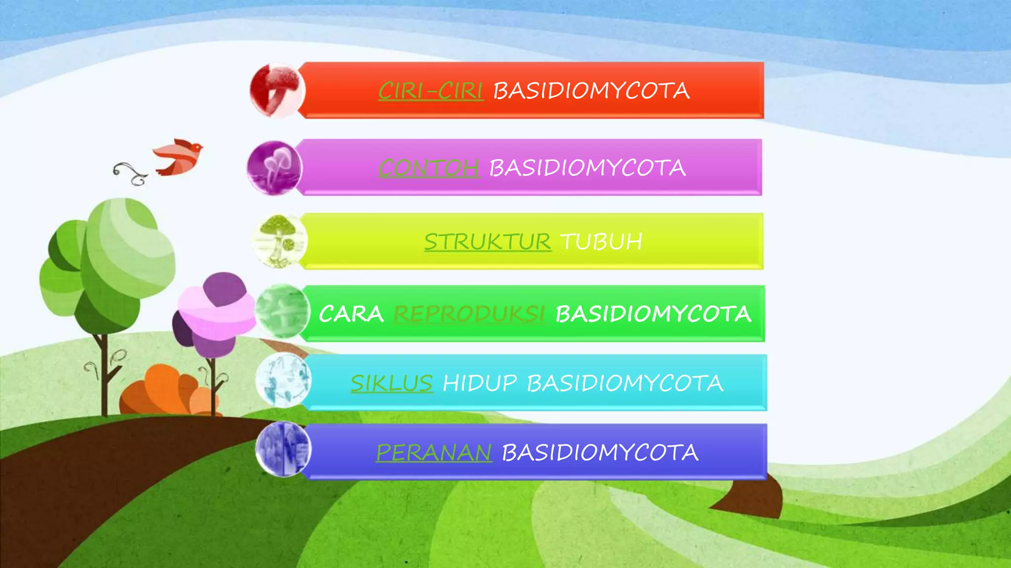 Basidiomycota | PPTX
