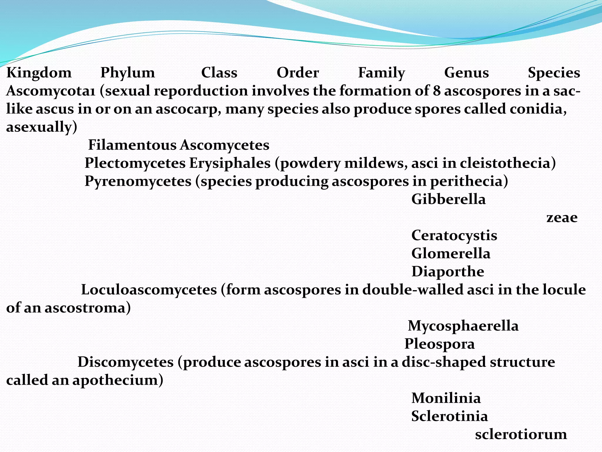 Basidiomycota | PPTX