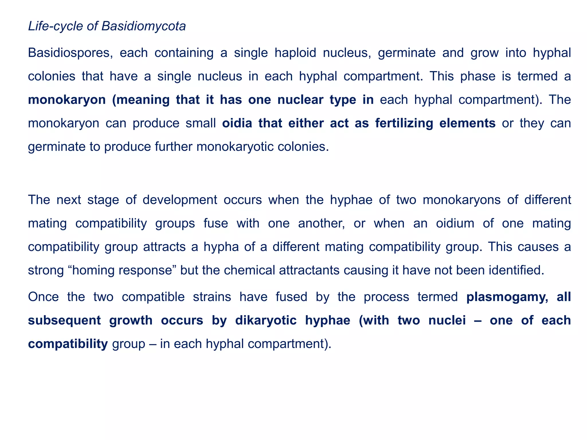 Basidiomycota | PPTX