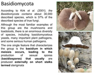 Basidiomycota | PPTX