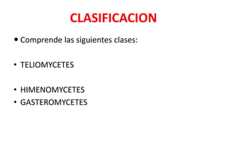 BASIDIOMYCOTA (Generalidades, características).pdf