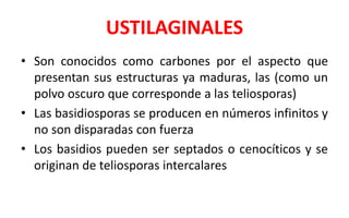 BASIDIOMYCOTA (Generalidades, características).pdf