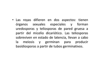 BASIDIOMYCOTA (Generalidades, características).pdf