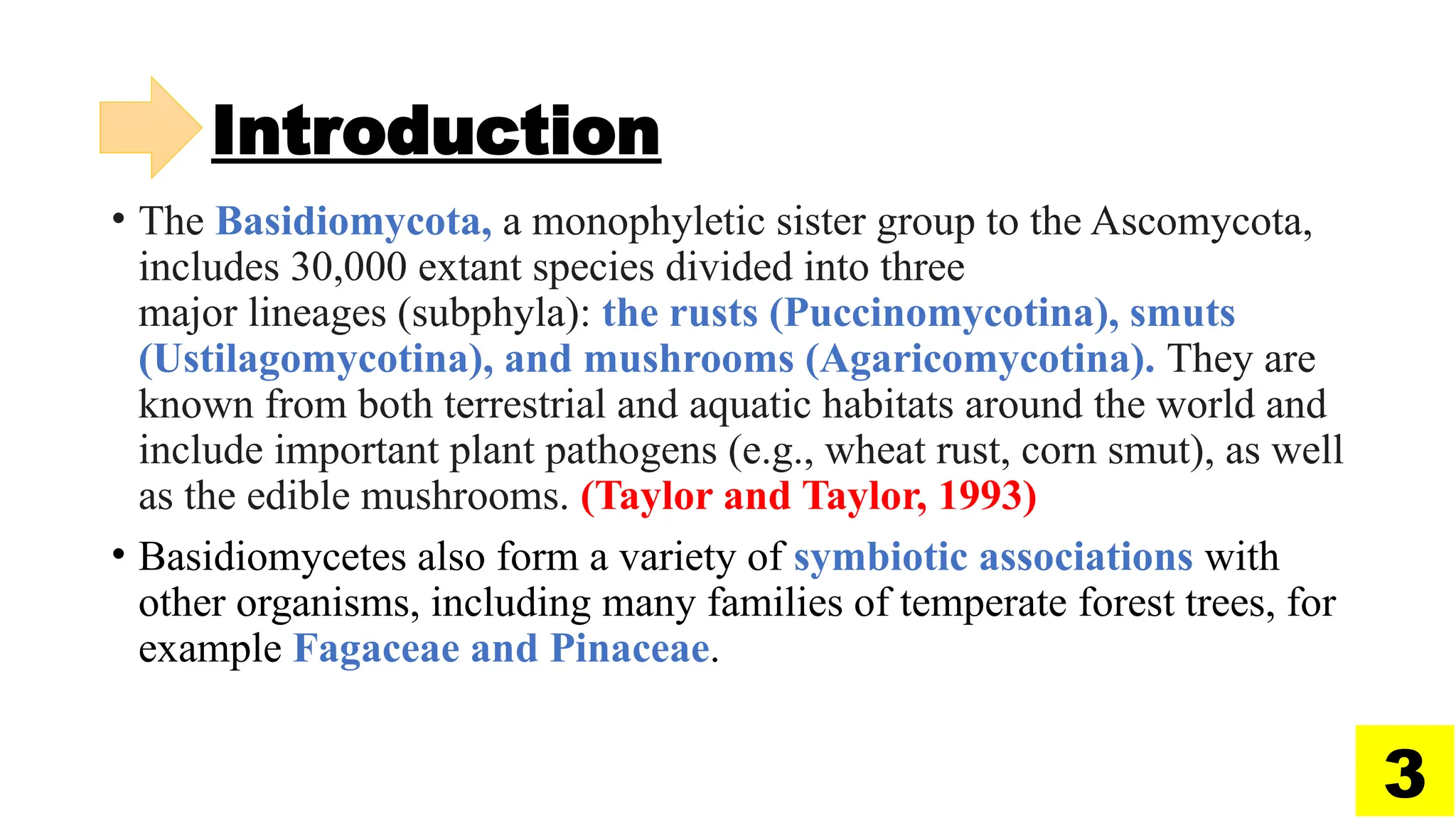 Basidiomycota. by Sarah Ashfaq fungi pu | PPTX