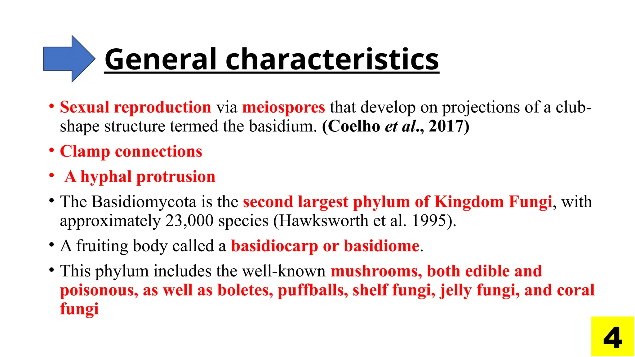 Basidiomycota. by Sarah Ashfaq fungi pu | PPTX