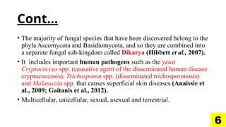 Basidiomycota. by Sarah Ashfaq fungi pu | PPTX | Gardening | Home & Garden