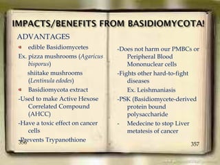 Basidiomycota | PPT