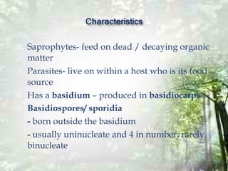 Basidiomycota | PPT