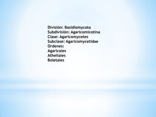 (BIOLOGIA DE HONGOS) División basidiomycota.pdf
