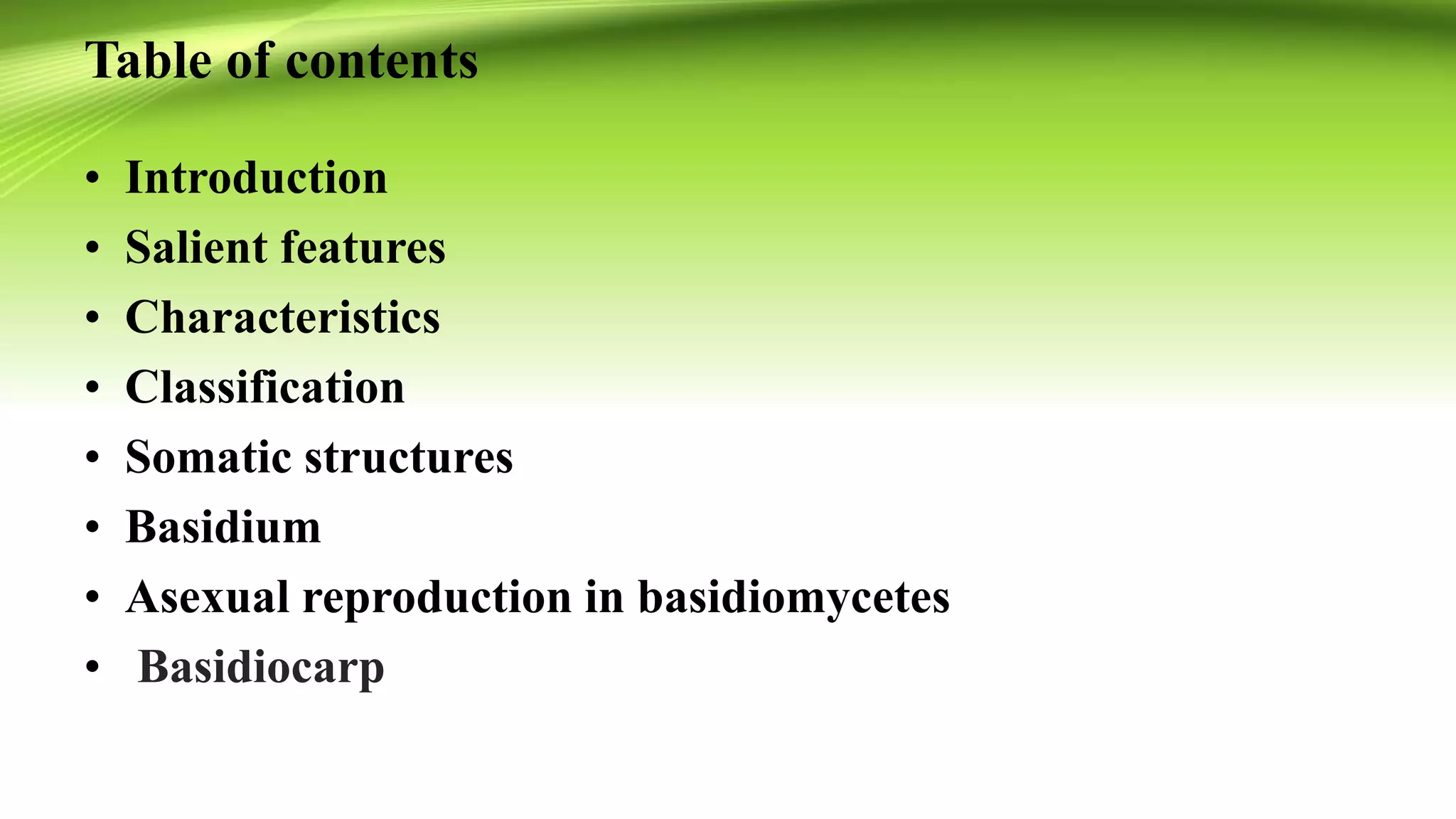 Basidiomycota by sohail | PPTX