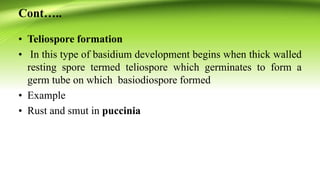 Basidiomycota by sohail | PPTX