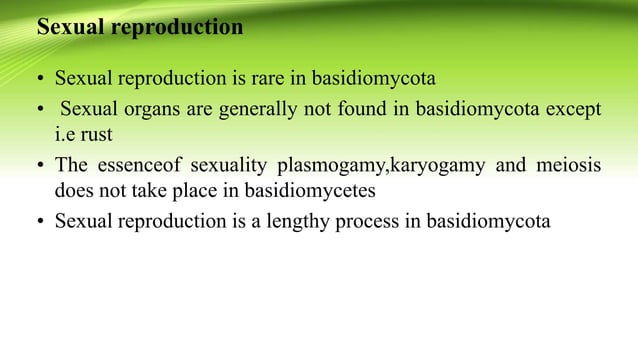 Basidiomycota by sohail | PPTX