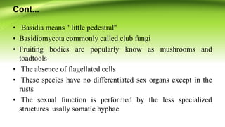 Basidiomycota by sohail | PPTX