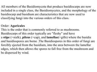Basidiomycota F.ppt