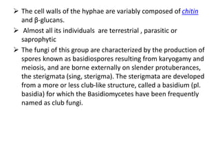 Basidiomycota F.ppt