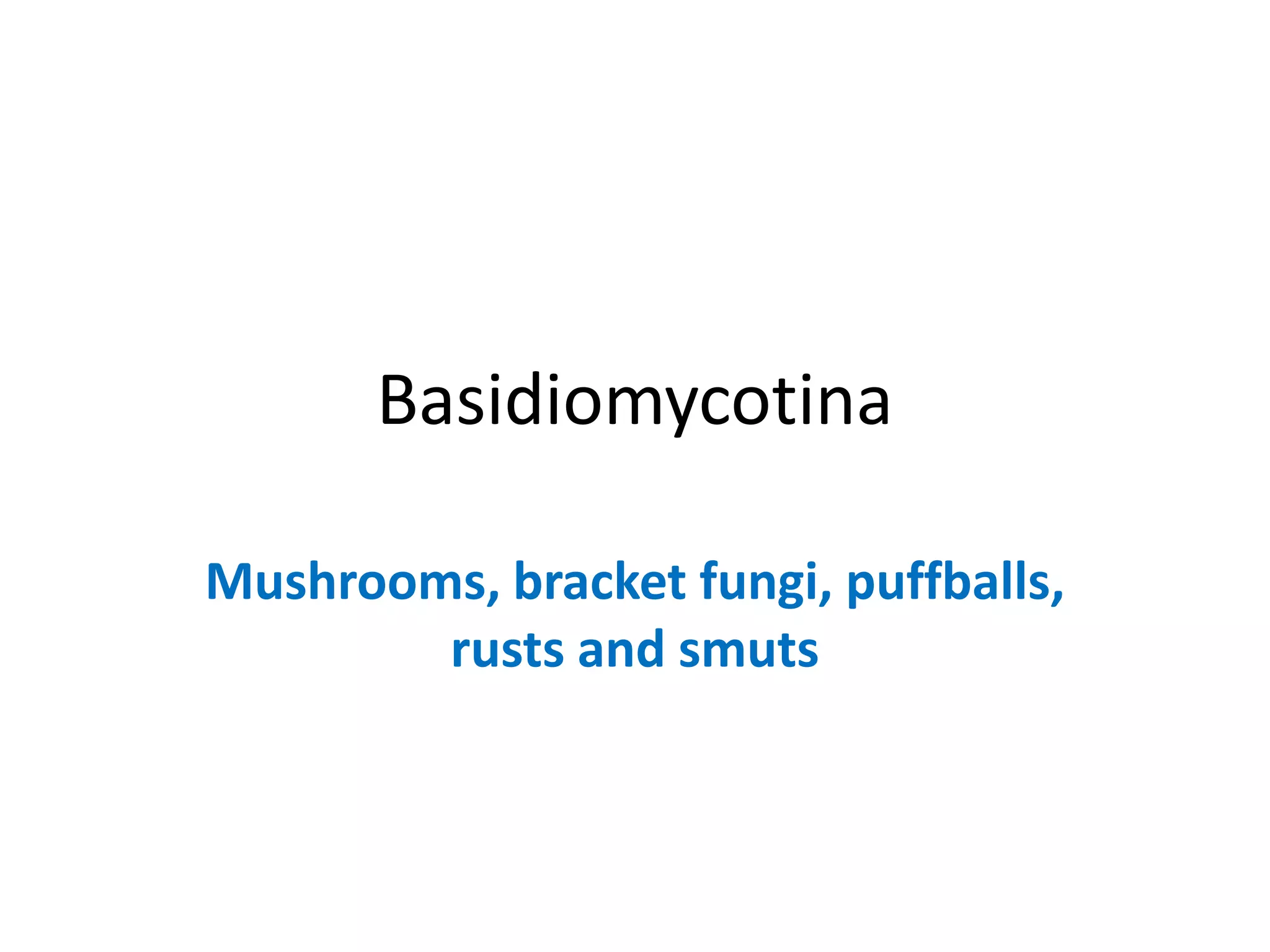 Basidiomycotina | PPTX