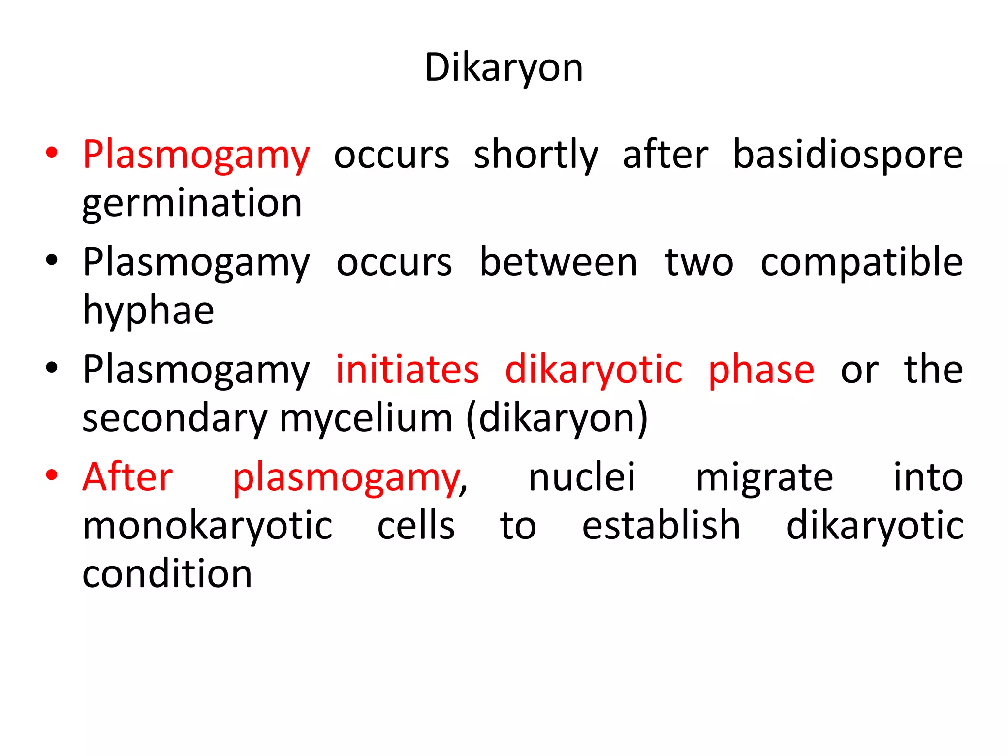 Basidiomycotina | PPTX