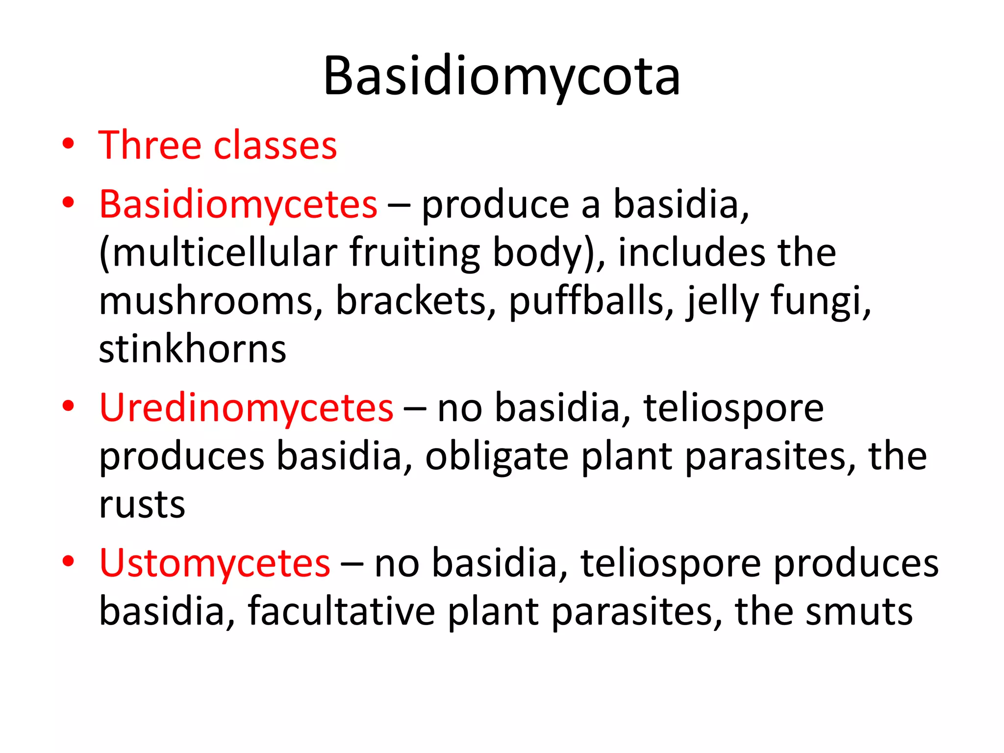 Basidiomycotina | PPTX