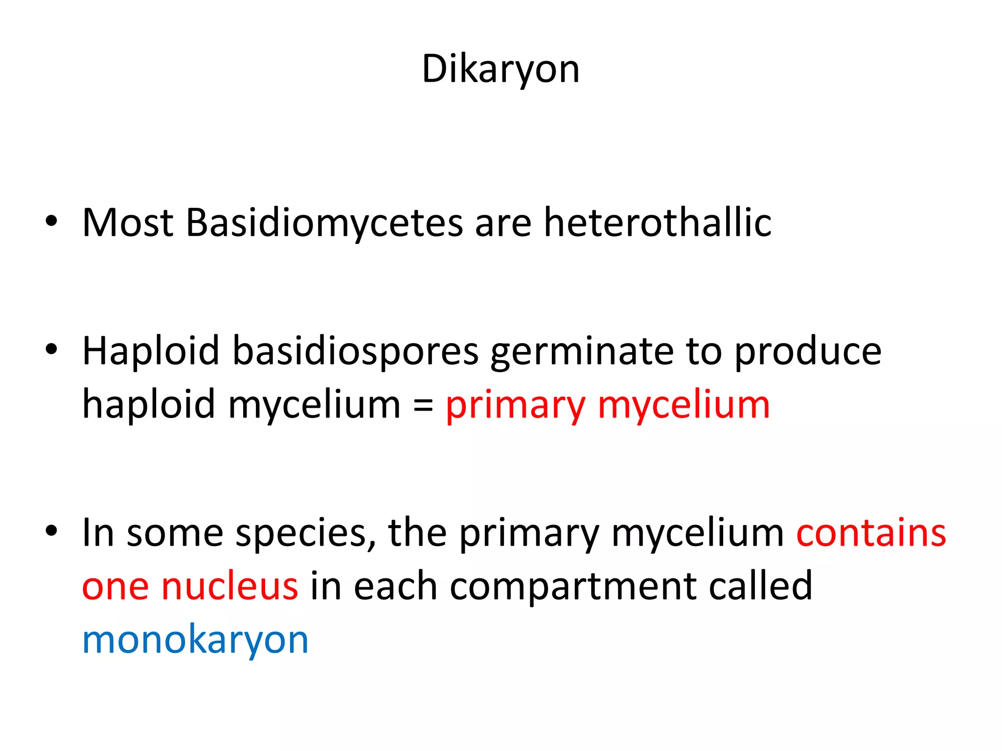 Basidiomycotina | PPTX