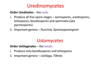 Basidiomycotina | PPTX