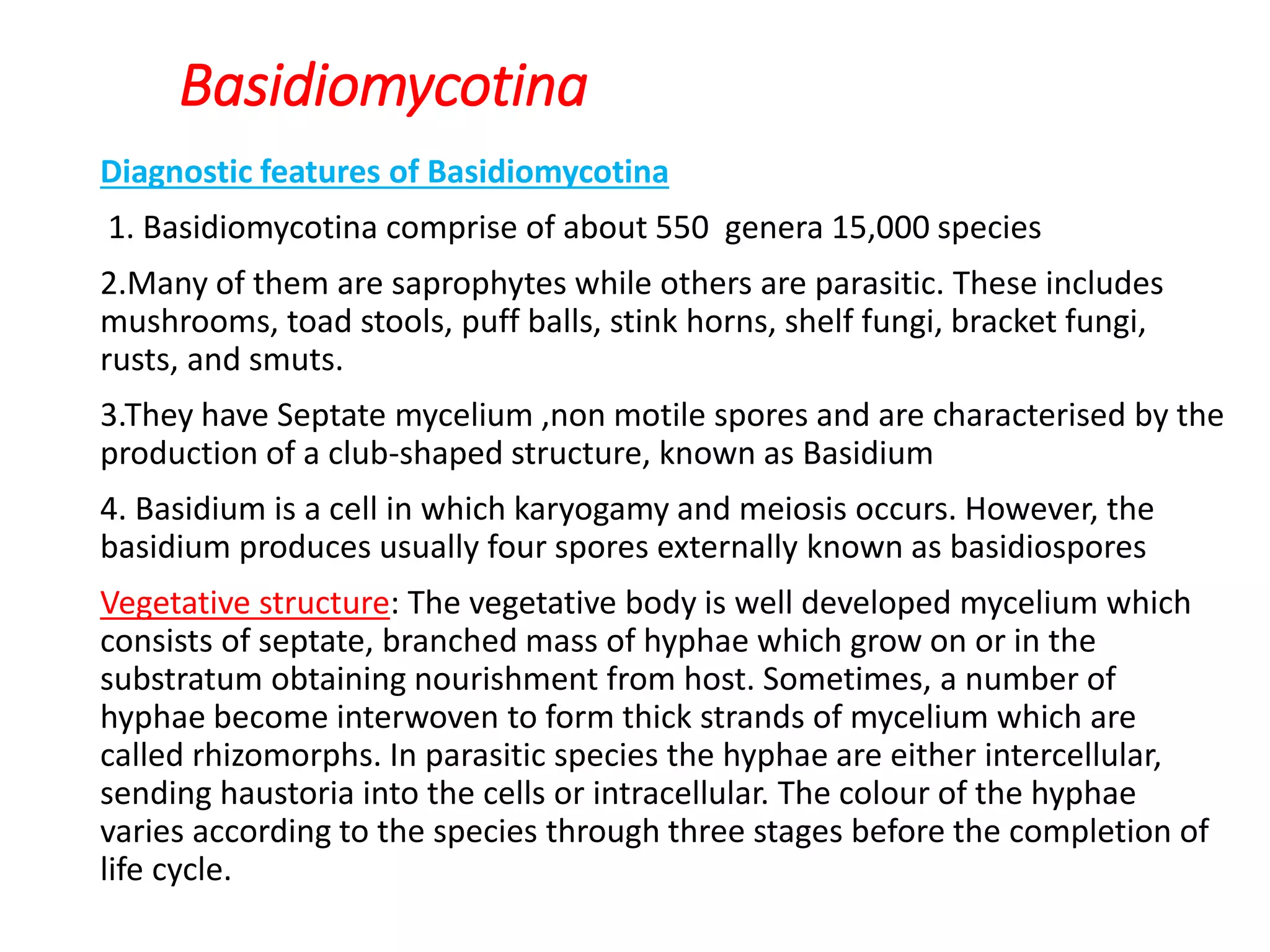 Basidiomycotina | PPTX