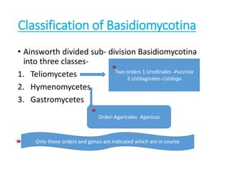 Basidiomycotina | PPTX