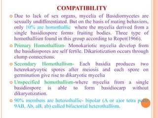 Basidiomycotina-Characters & Ecology.pdf