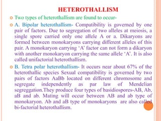 Basidiomycotina-Characters & Ecology.pdf
