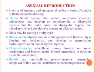 Basidiomycotina-Characters & Ecology.pdf