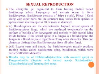 Basidiomycotina-Characters & Ecology.pdf
