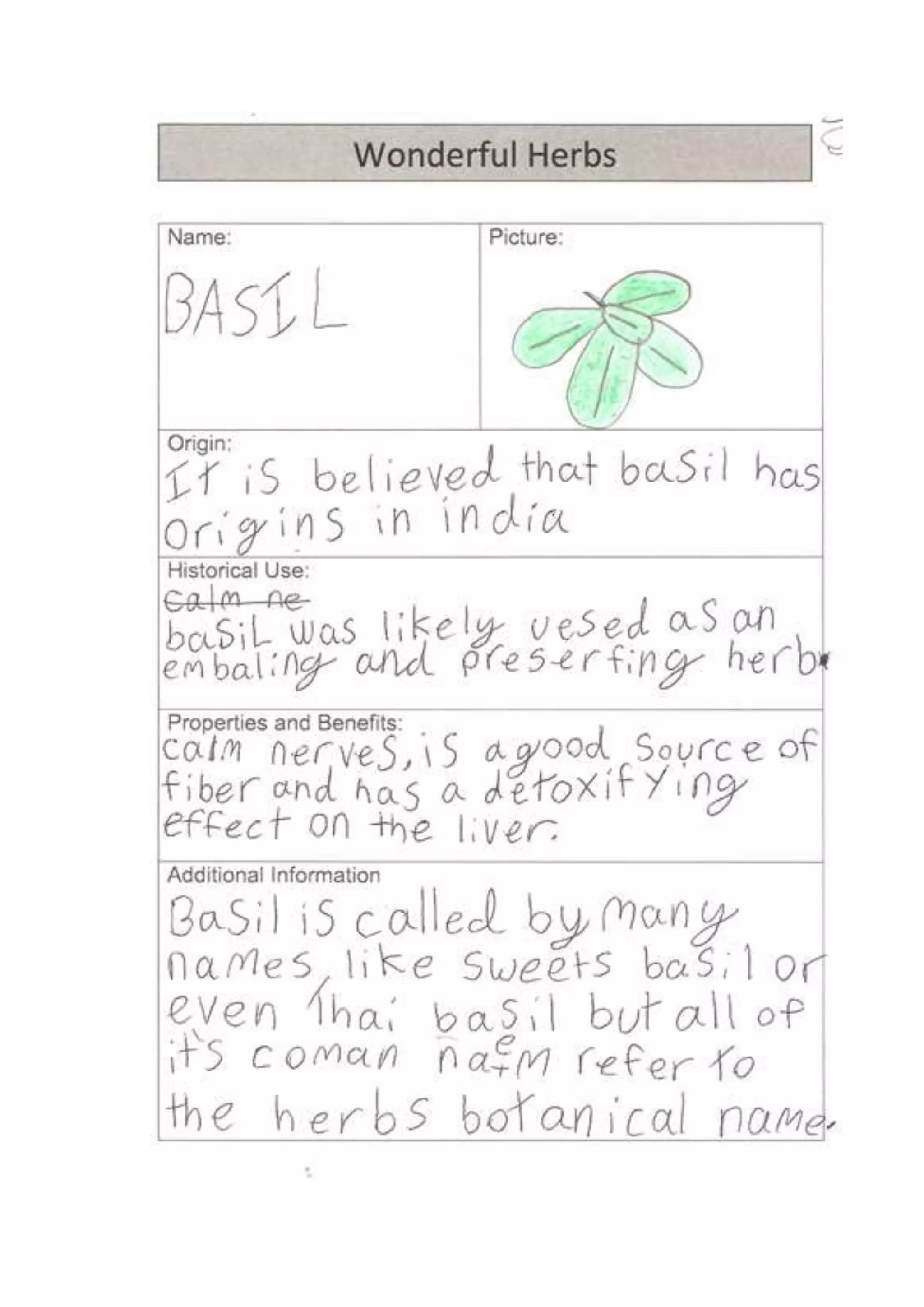 Basil | PDF