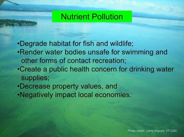 EPA Perspective on Nutrient Pollution | PPT
