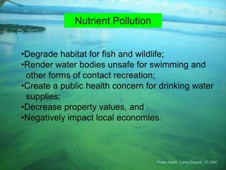 Nutrient Water Pollution