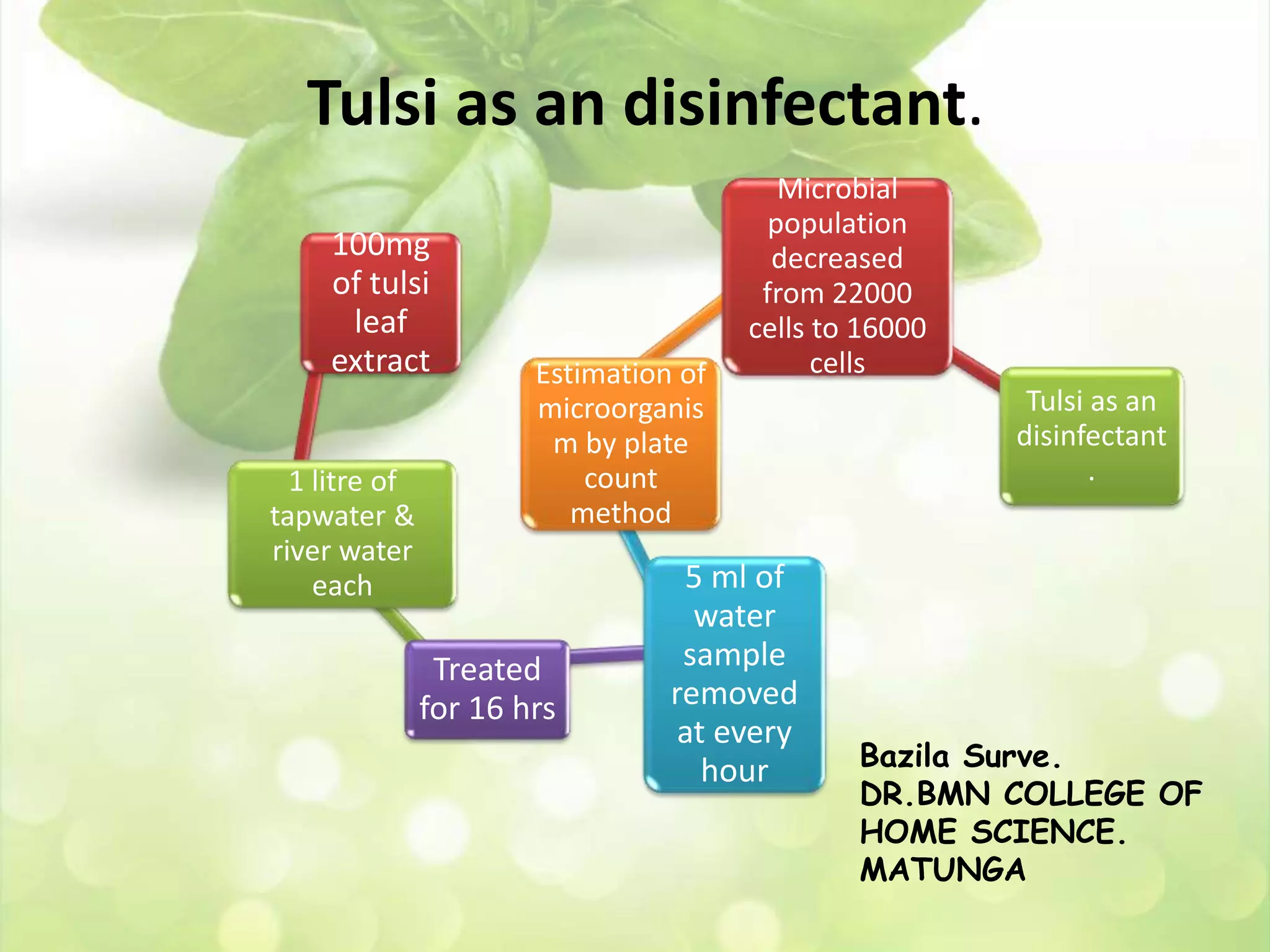 Basil ida ppt(seminar) | PPTX