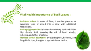 “BASIL LEAVES” MEDICINAL USES | PPT