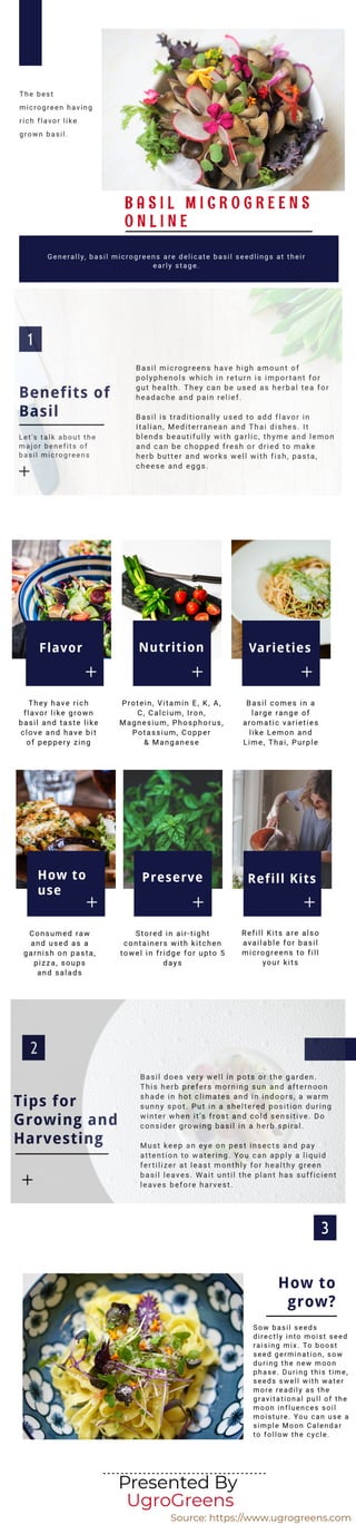 Basil microgreens online | PDF