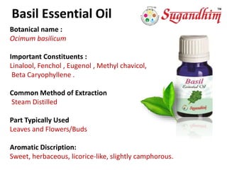 Basil oil | PPTX