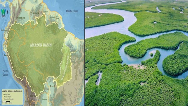 Human environment interaction, Tropical region | PPTX