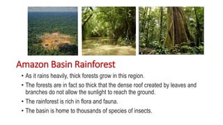 Human environment interaction, Tropical region | PPTX