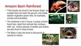 Human environment interaction, Tropical region | PPTX