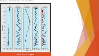 Basin Evaluation and application of various petrophysical logs and ...