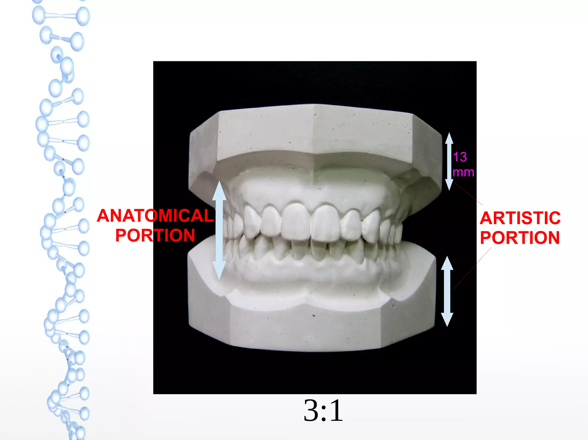 BASING AND TRIMMING OF ORTHODONTIC MODELS | ODP